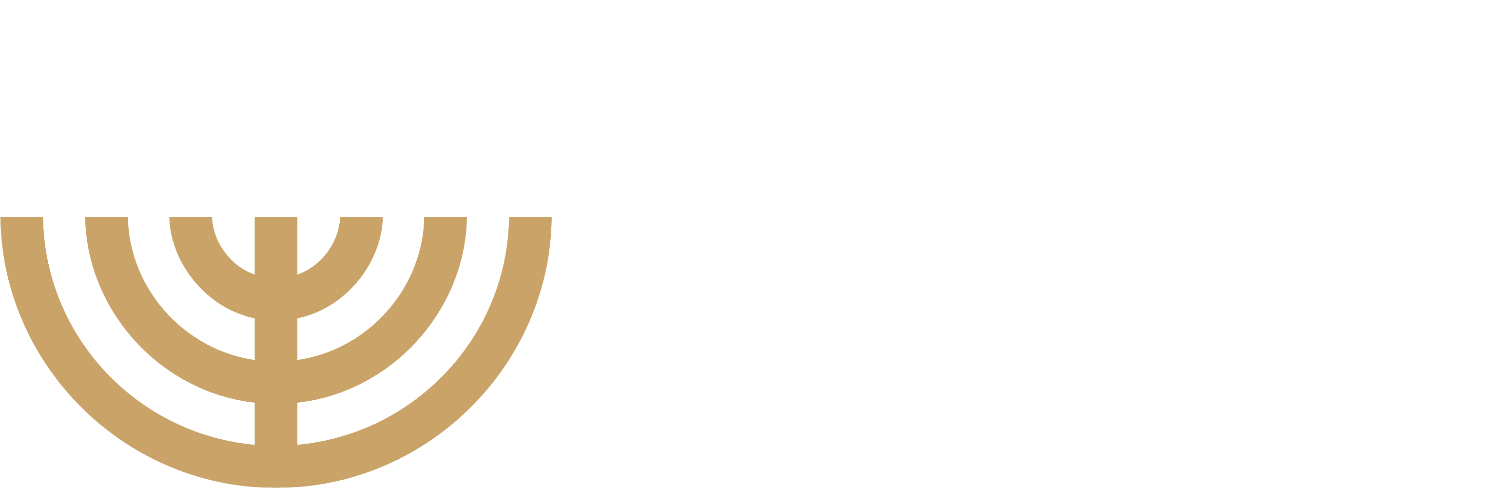 Over 2000 anti-Jewish incidents in 12 months - ECAJ